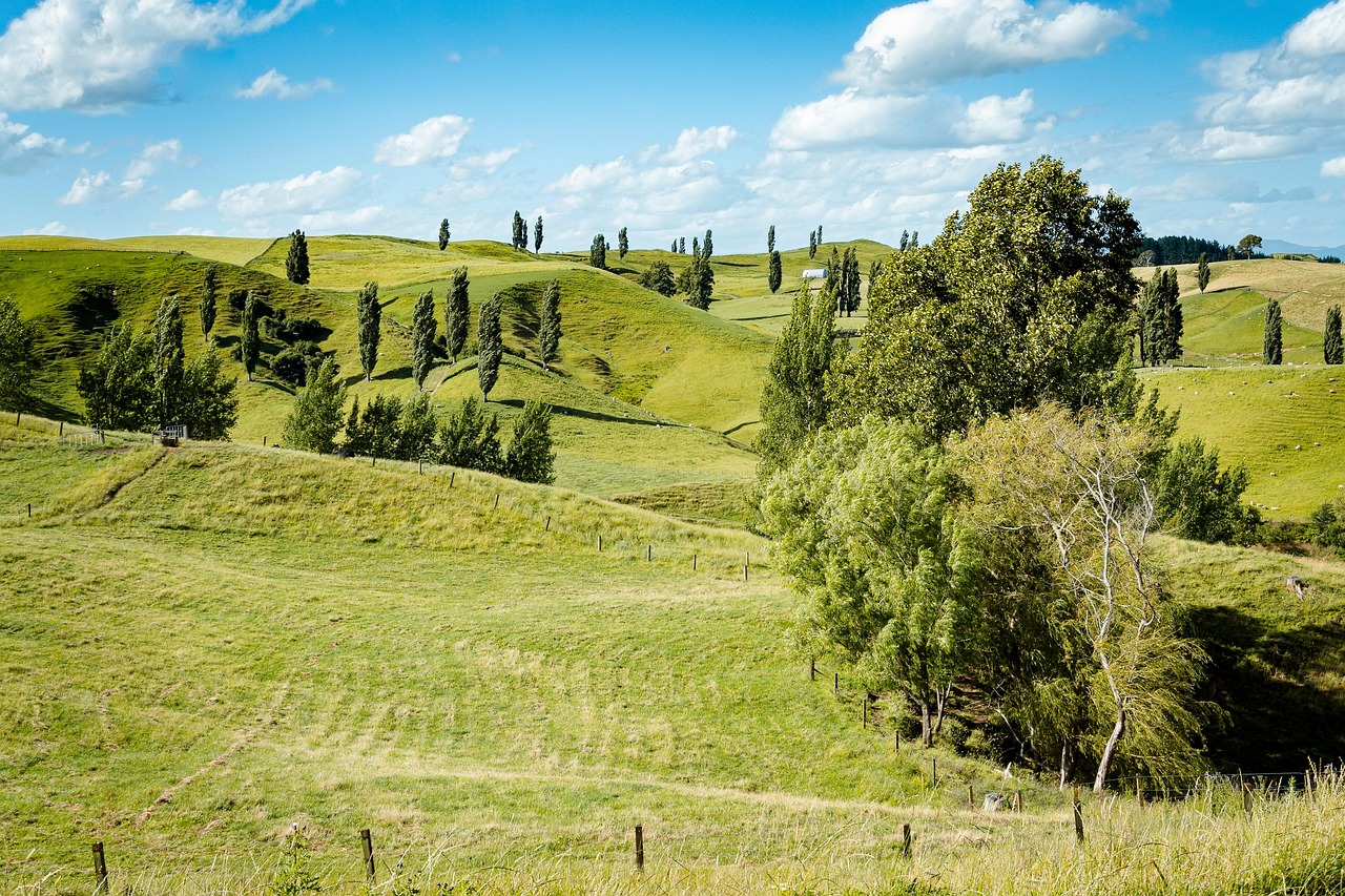 New Zealand Rolling Hills Nature - Free photo on Pixabay