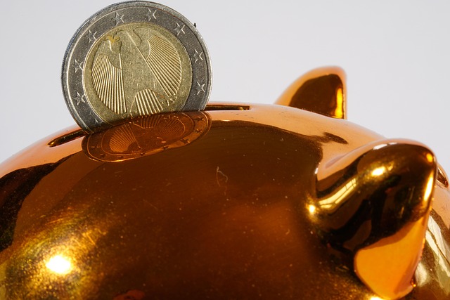 Euro Piggy Bank Coin - Free photo on Pixabay - Pixabay