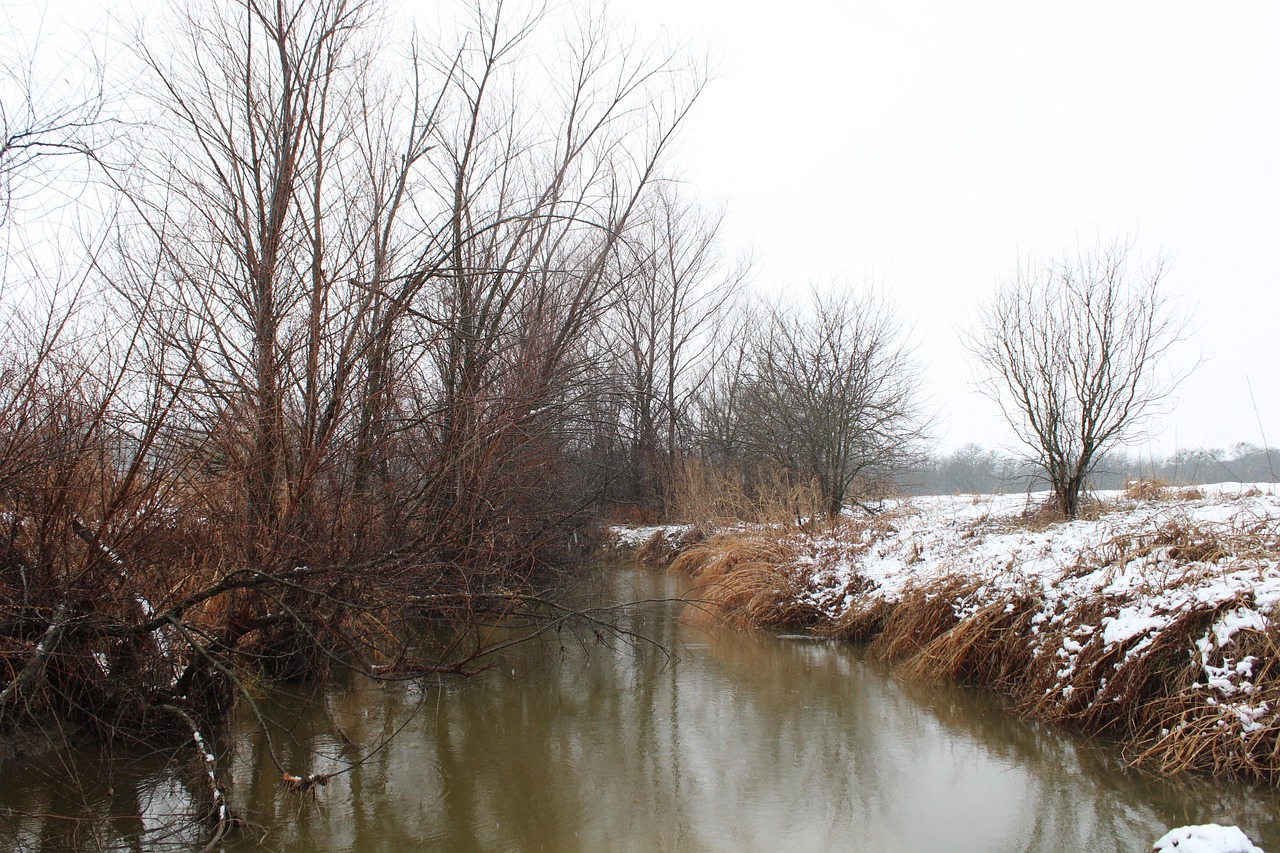 Fluss Winter Natur - Kostenloses Foto auf Pixabay - Pixabay