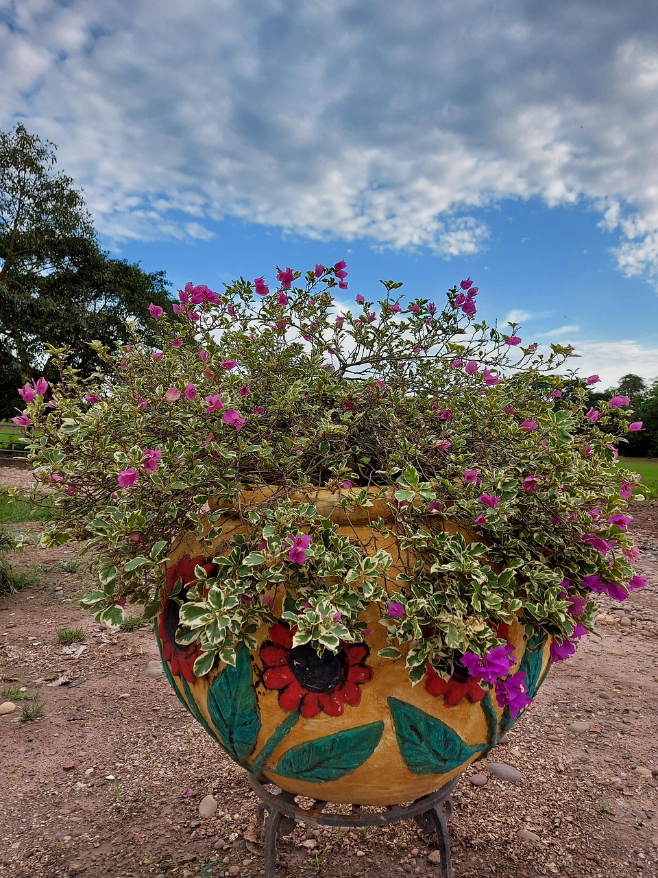 Garten Blumen Natur - Kostenloses Foto auf Pixabay - Pixabay