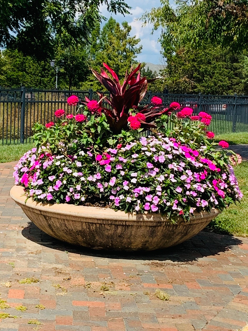 Flores Jardim Natureza - Foto gratuita no Pixabay - Pixabay