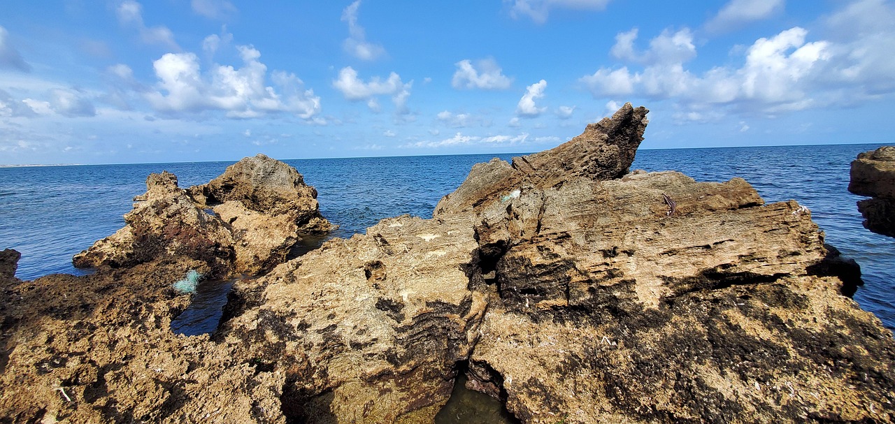 2+ Free Malindi & Mombasa Images - Pixabay