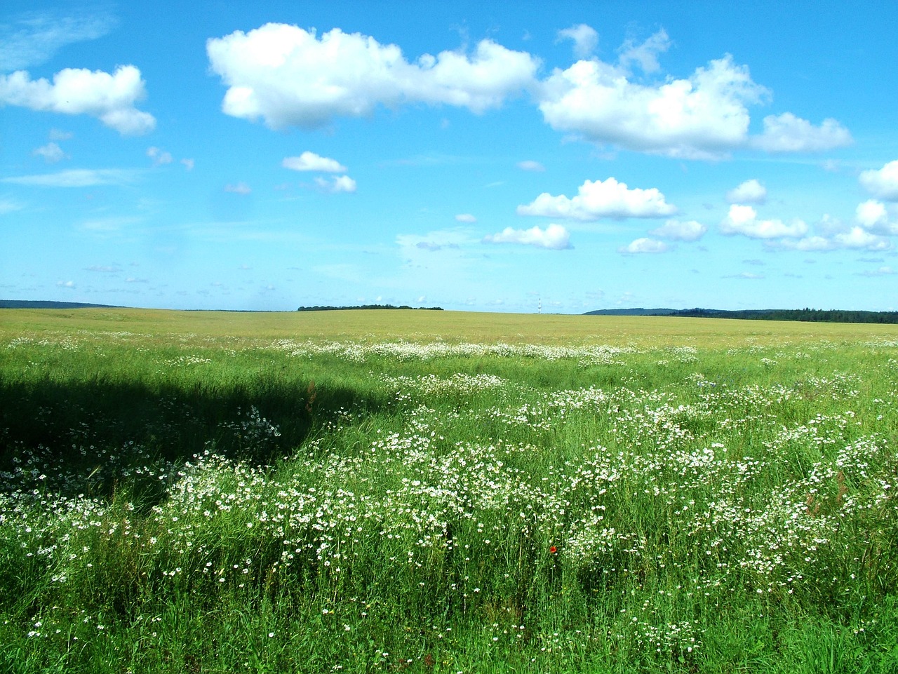 Country Outside Sky - Free photo on Pixabay - Pixabay