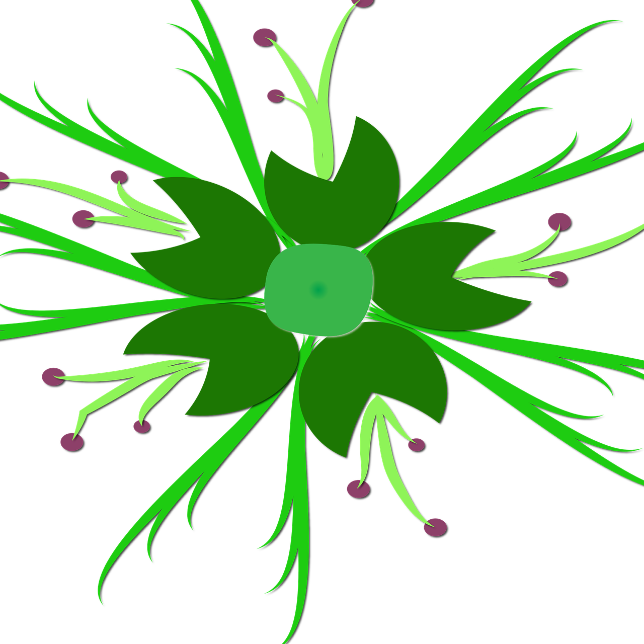 草 花 植物 免费矢量图形pixabay Pixabay
