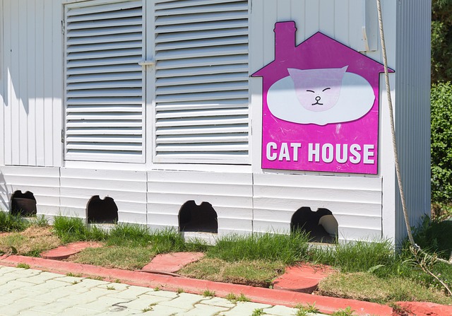 Cat House Architecture Backyard - Free photo on Pixabay - Pixabay