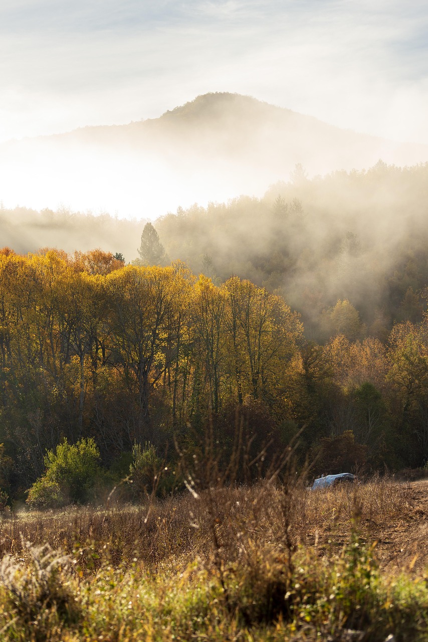 Nature Automne Saison Photo Gratuite Sur Pixabay Pixabay