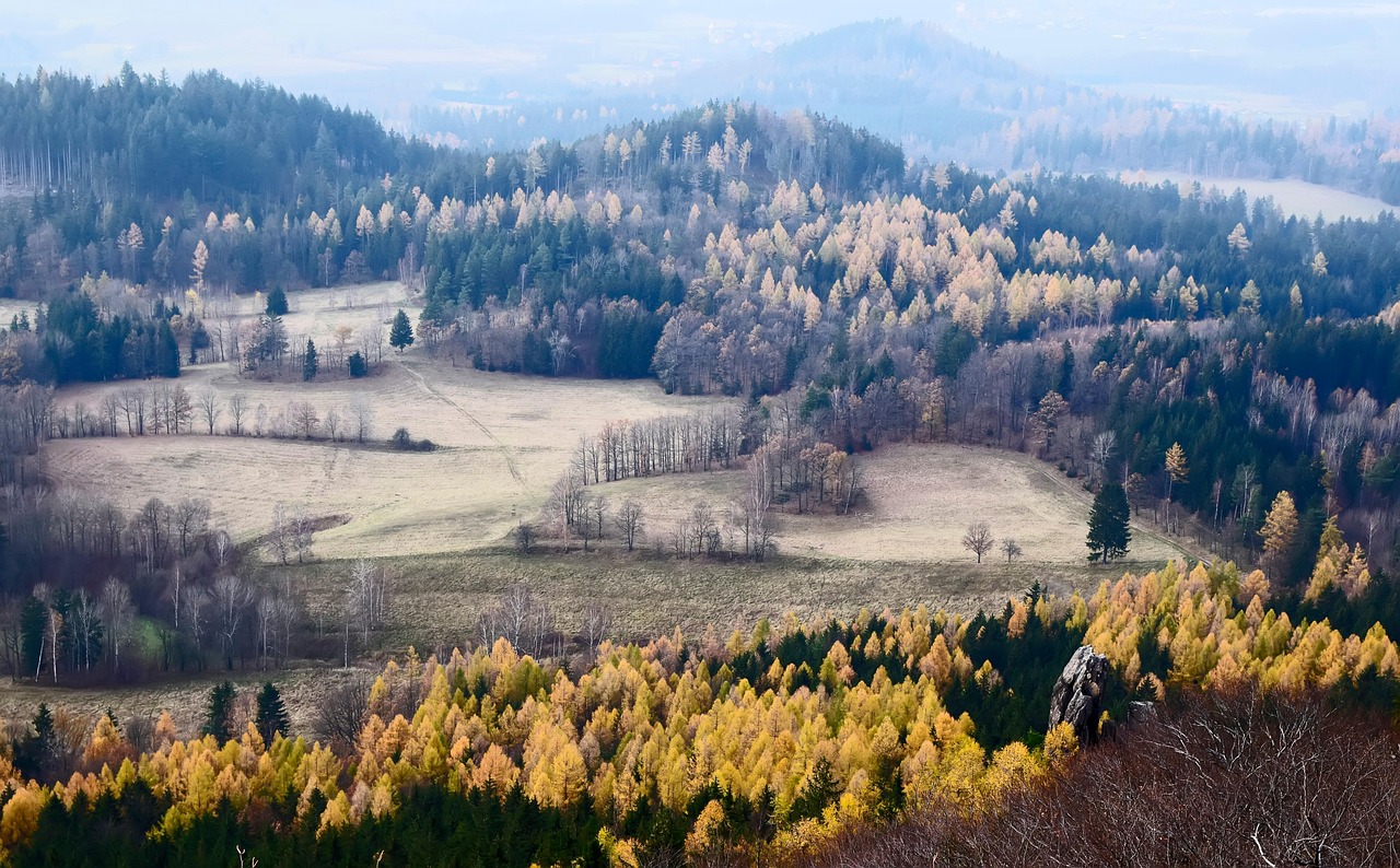 Pologne Montagnes Des Arbres Monts - Photo gratuite sur Pixabay - Pixabay