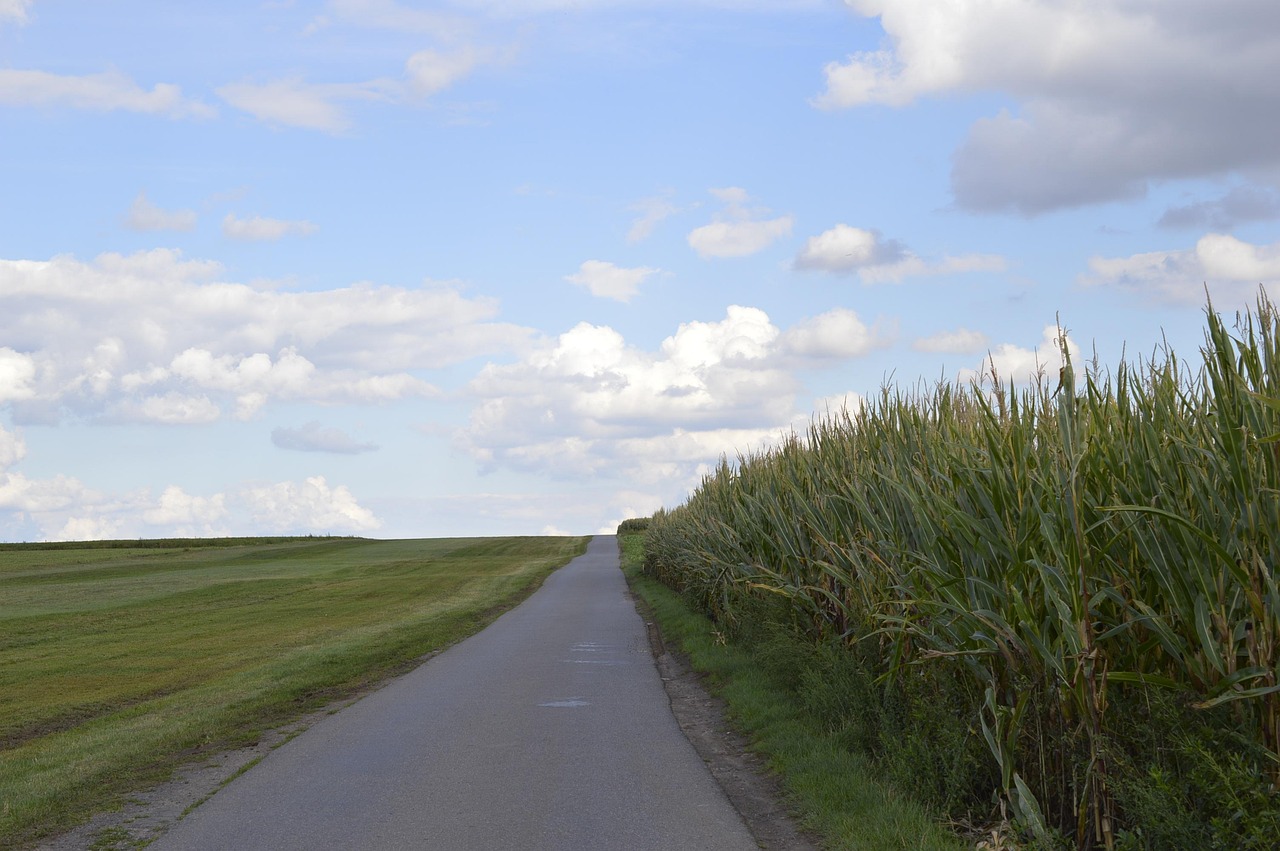 Route Sur Le Terrain Prairie - Photo gratuite sur Pixabay - Pixabay