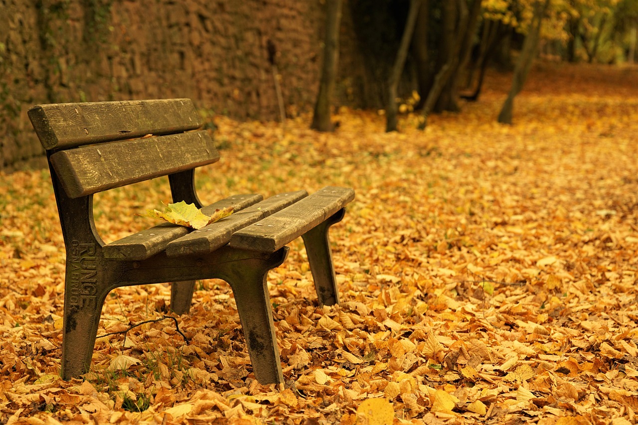Bench Autumn Park - Free photo on Pixabay