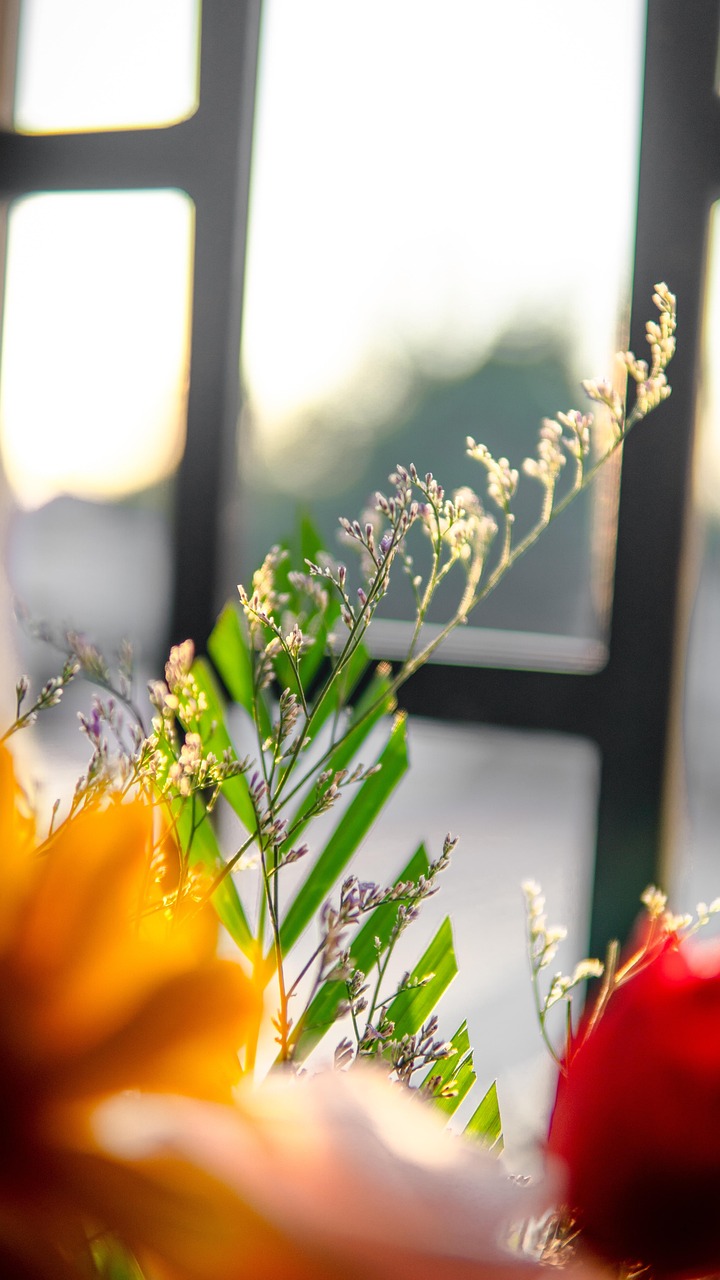 Fleurs Bloom Botanique - Photo gratuite sur Pixabay - Pixabay