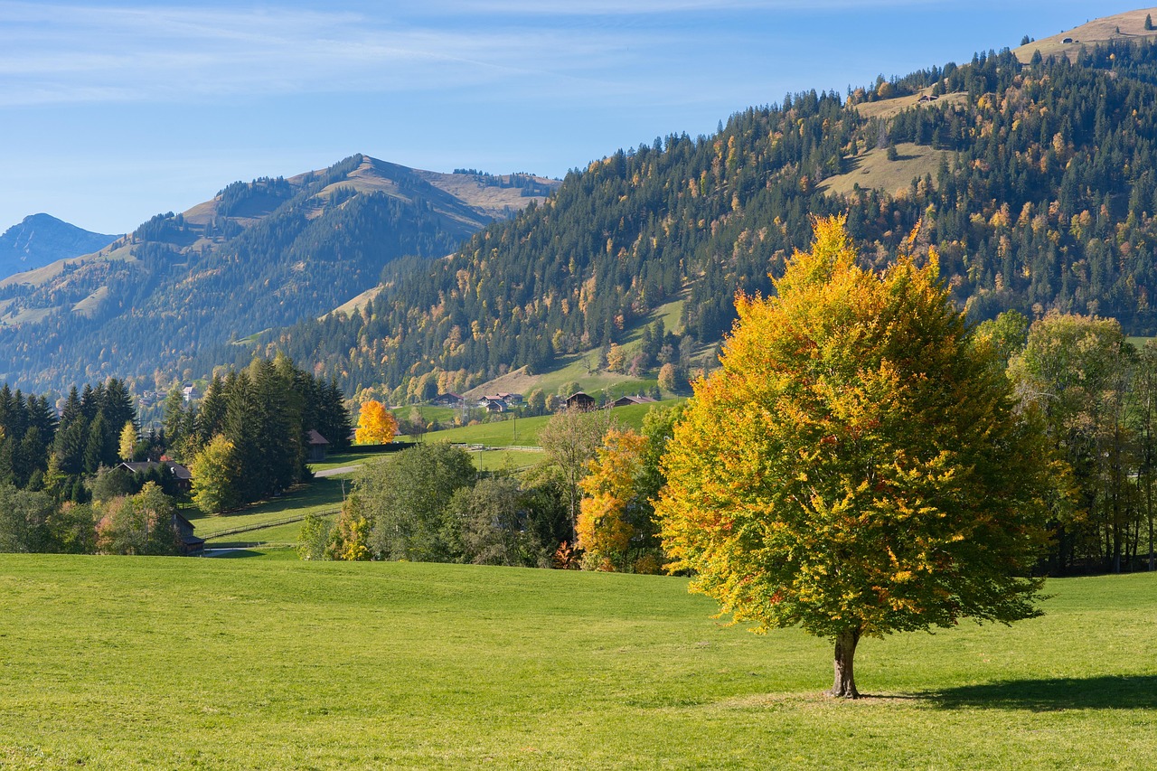 Nature Autumn Season - Free photo on Pixabay