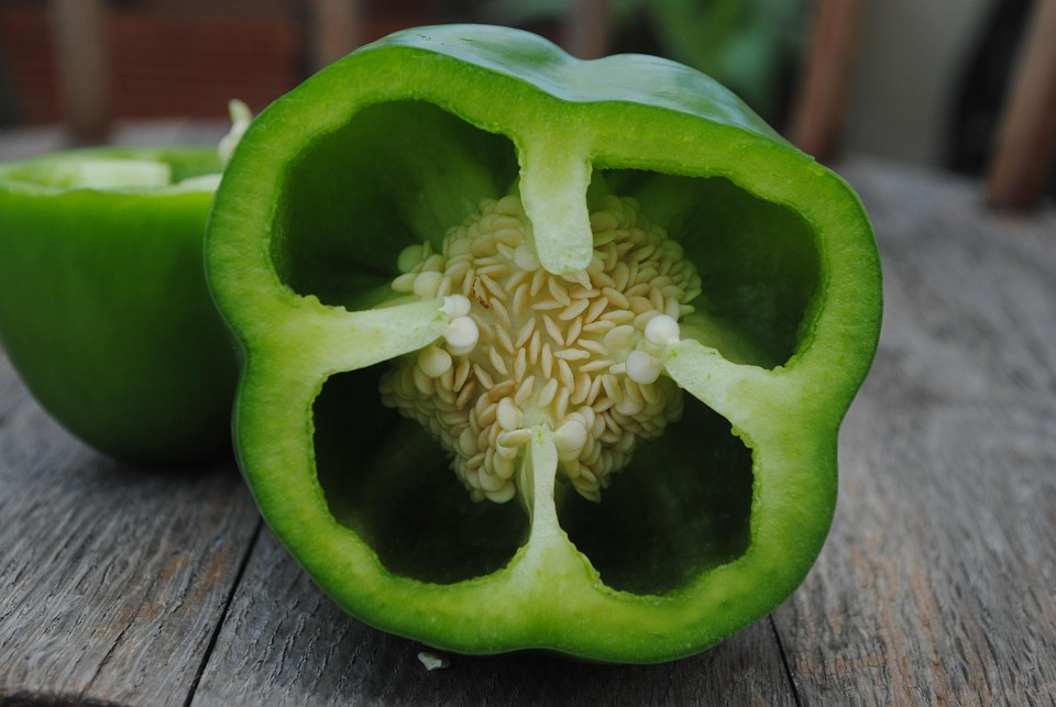 Green Bell Pepper Organic Chilli - Free photo on Pixabay - Pixabay