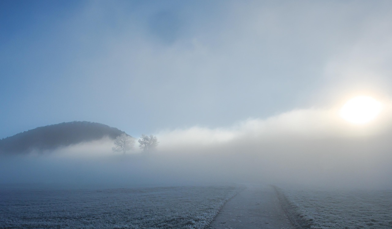 Nature Hiver Saison En Plein - Photo gratuite sur Pixabay