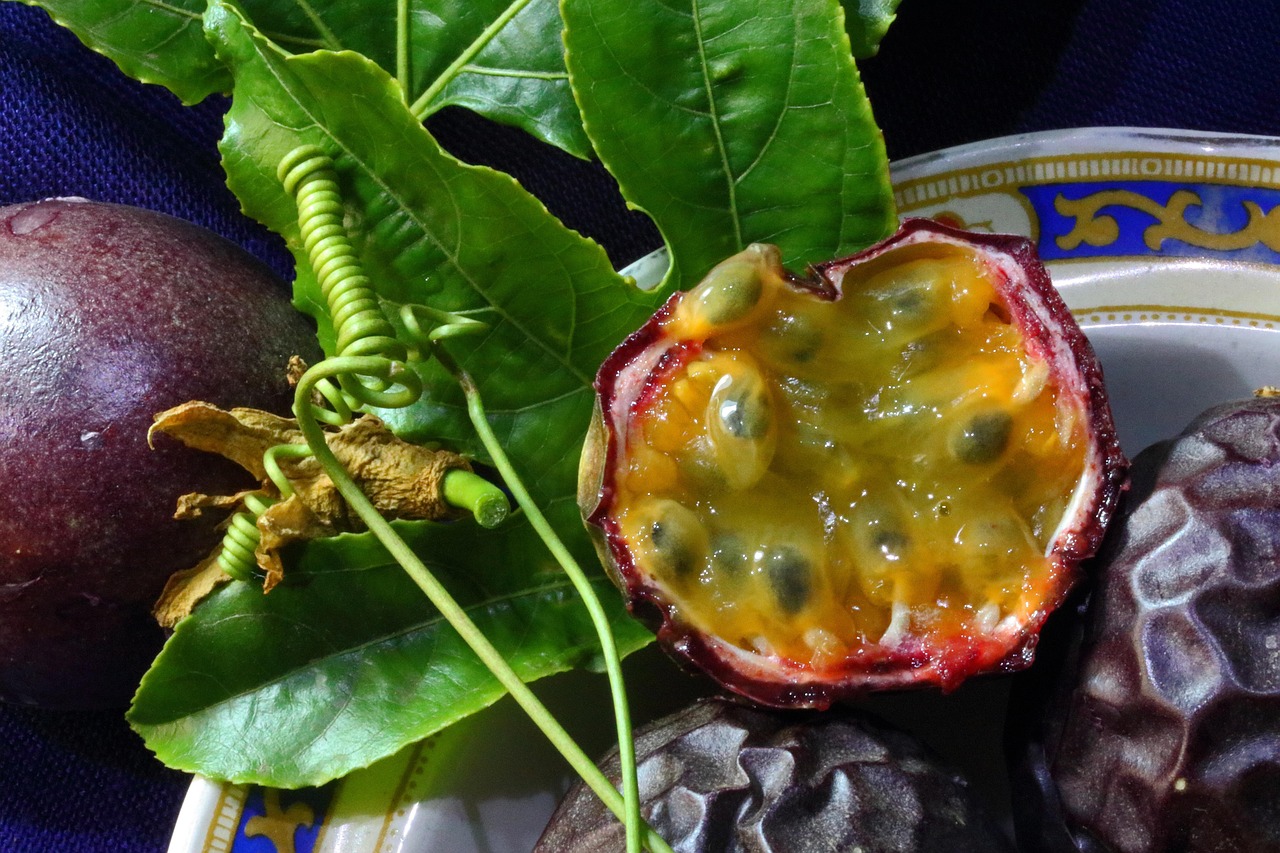 Más de 40 imágenes gratis de Granadilla y Tenerife - Pixabay