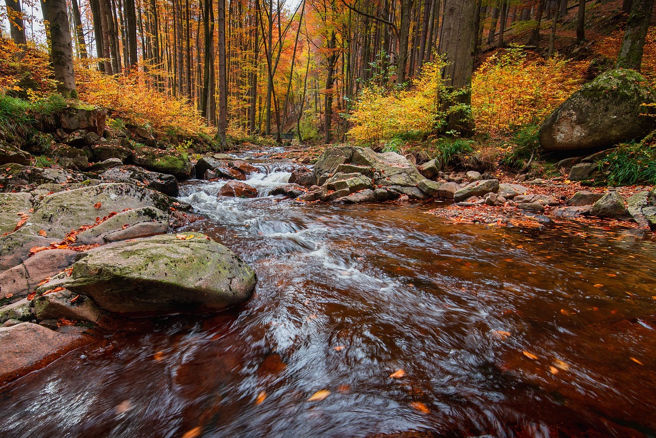 Ilse Valley Flow Stream - Free photo on Pixabay