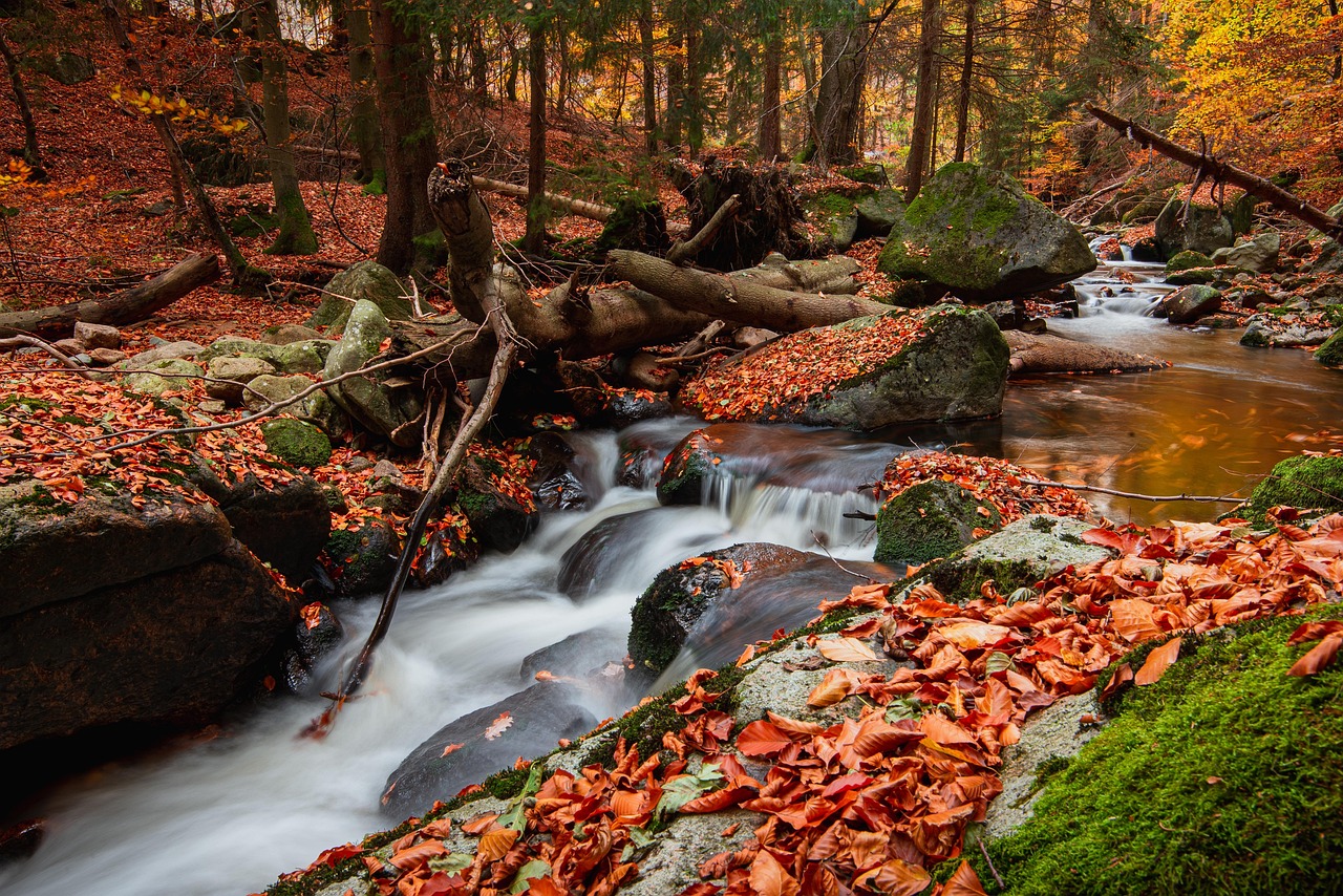Ilse Valley Flow Stream - Free photo on Pixabay - Pixabay