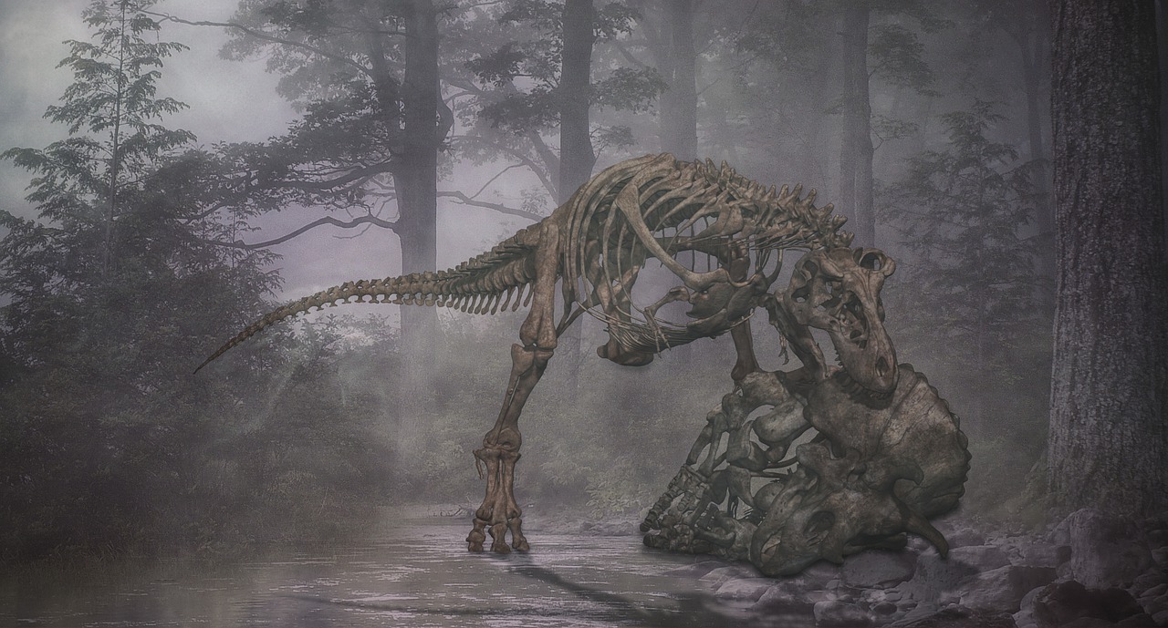 4,000+ Free Dinosaur Skeleton & Dinosaur Images - Pixabay