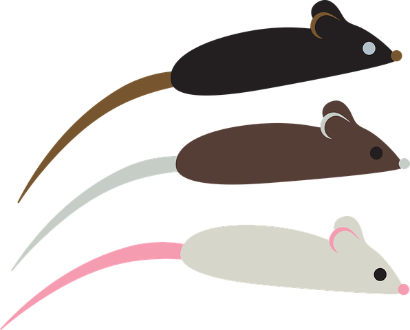 80+ Free Mice & Mouse Illustrations - Pixabay