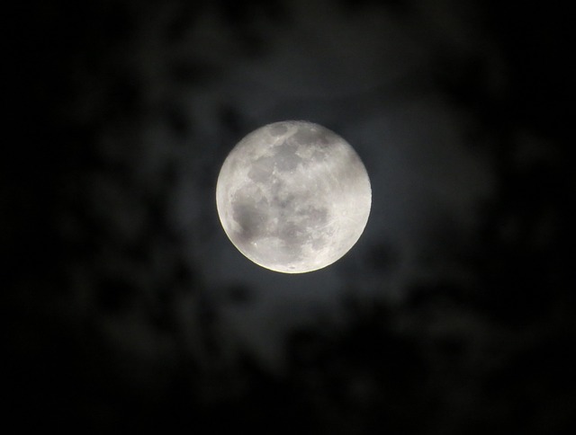 Mond Luna Nacht - Kostenloses Foto auf Pixabay - Pixabay