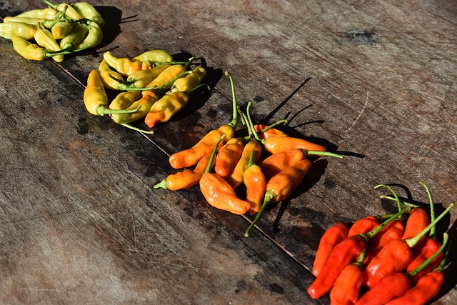 Pfeffer Peperoni Lebensmittel - Kostenloses Foto auf Pixabay - Pixabay