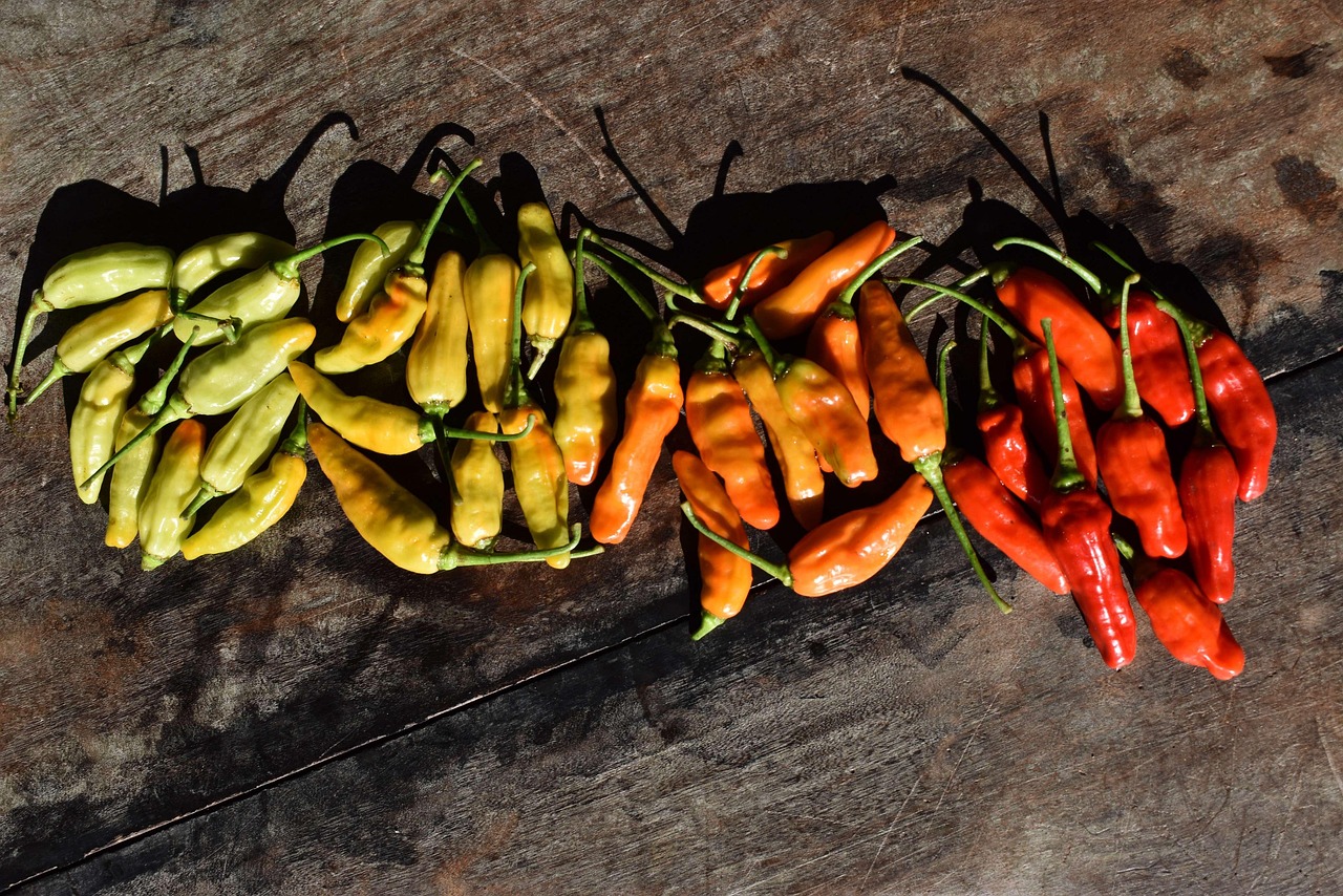 Pfeffer Peperoni Lebensmittel - Kostenloses Foto auf Pixabay - Pixabay