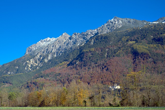 Berg Grat Wald - Kostenloses Foto auf Pixabay - Pixabay
