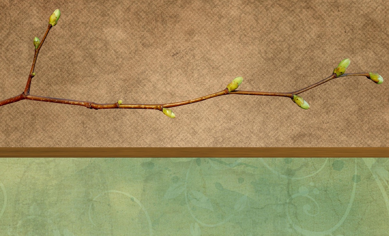 Twig Branch Nature - Free photo on Pixabay - Pixabay