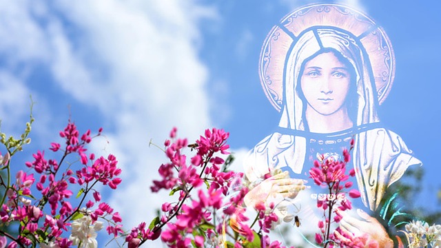Meryemana Vergine Maria Mübarek - Pixabay'de ücretsiz fotoğraf - Pixabay