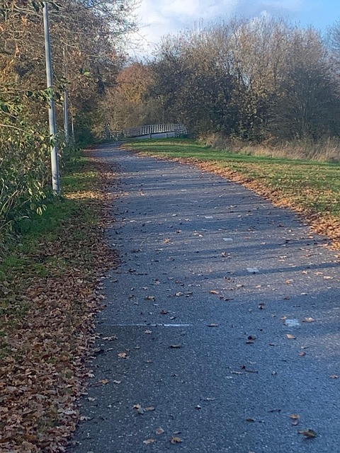 Piste Cyclable Bord De La Route - Photo gratuite sur Pixabay - Pixabay
