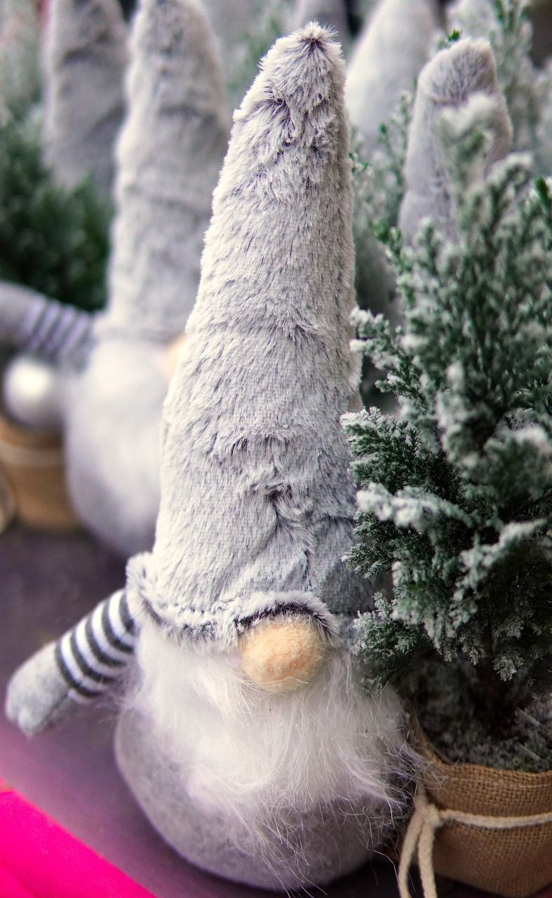 100+ Free Christmas Gnome & Gnome Images - Pixabay