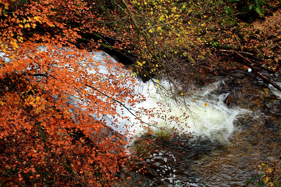 Cascade Fleuve Ruisseau - Photo gratuite sur Pixabay - Pixabay
