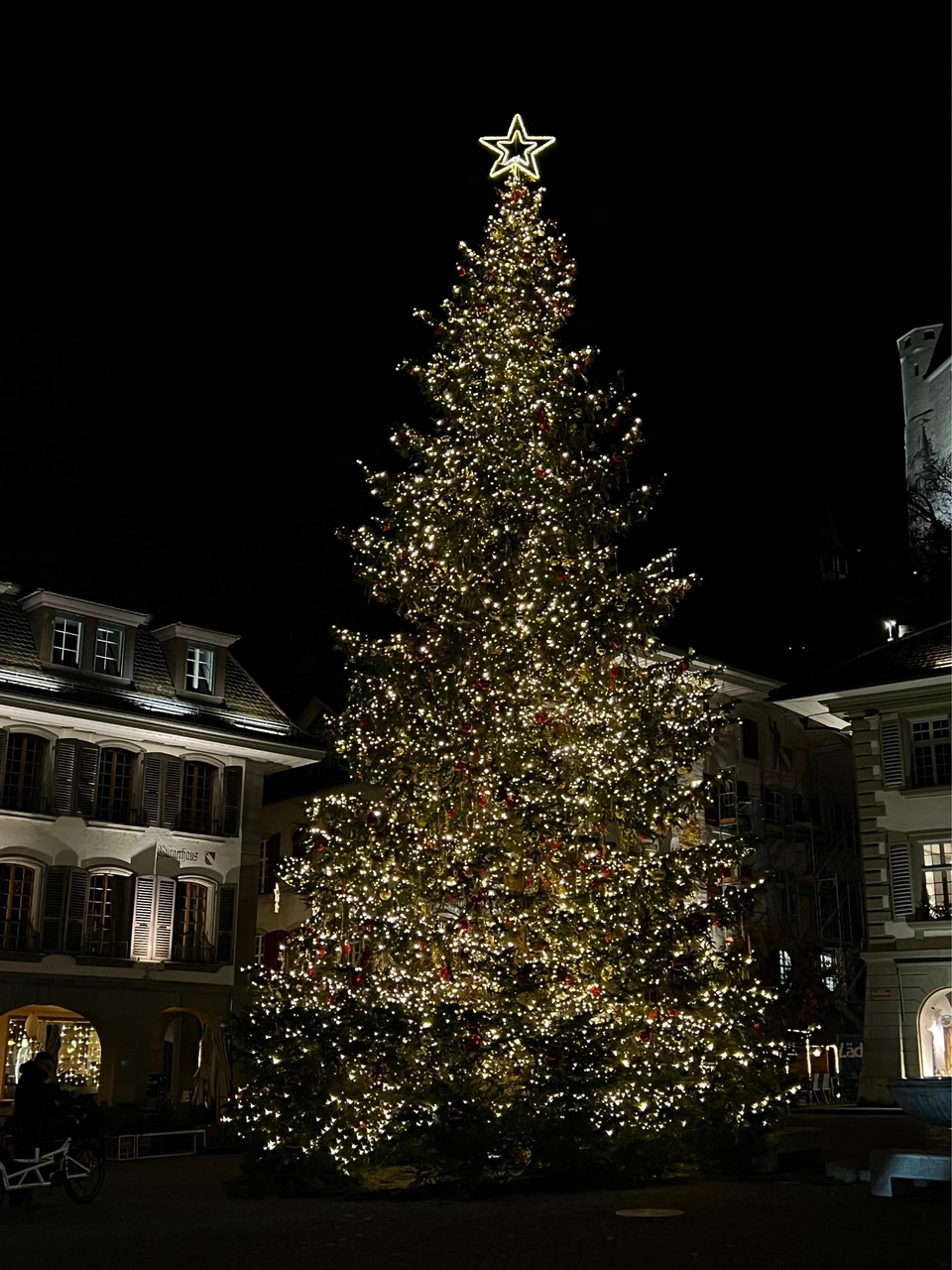 Árvore De Natal Grande - Foto gratuita no Pixabay - Pixabay