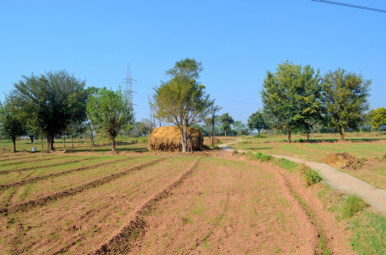 Village Landscape Nature - Free photo on Pixabay - Pixabay
