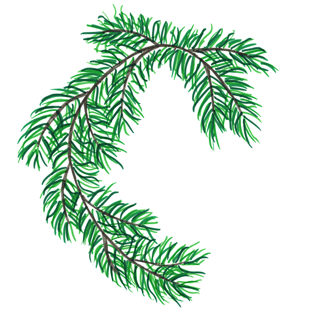 Download Pine Needles, Frame, Copy Space. Royalty-Free Vector Graphic ...