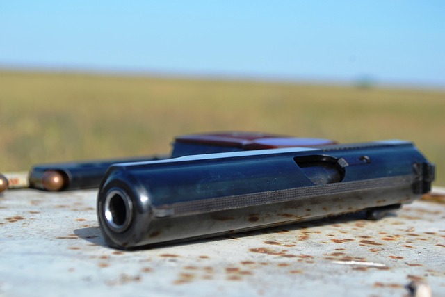1.000+ Gambar Makarov Pistol & Pistol Gratis - Pixabay