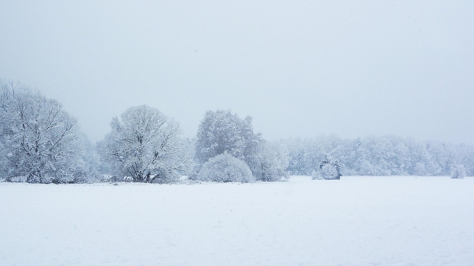 Nature Winter Season - Free photo on Pixabay - Pixabay