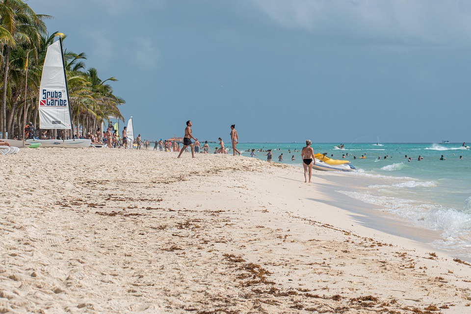 Praia Tropical Caraíbas - Foto gratuita no Pixabay - Pixabay