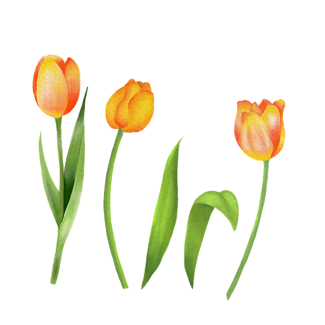 800+ kostenlose Mathe Clipart & Clipart Illustrationen - Pixabay