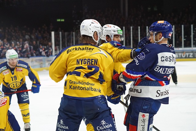 Hockey Ishockey Hockeyspelare - Gratis foto på Pixabay - Pixabay