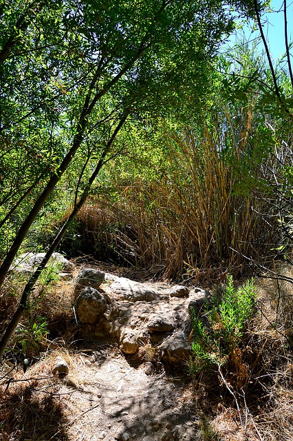 Landscape Nature Path - Free photo on Pixabay - Pixabay Landscape Nature Path - Free photo on Pixabay - Pixabay