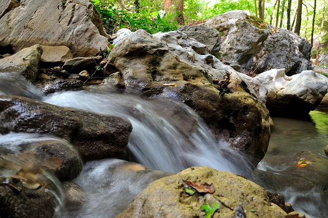 Río Arroyo Naturaleza - Foto gratis en Pixabay - Pixabay