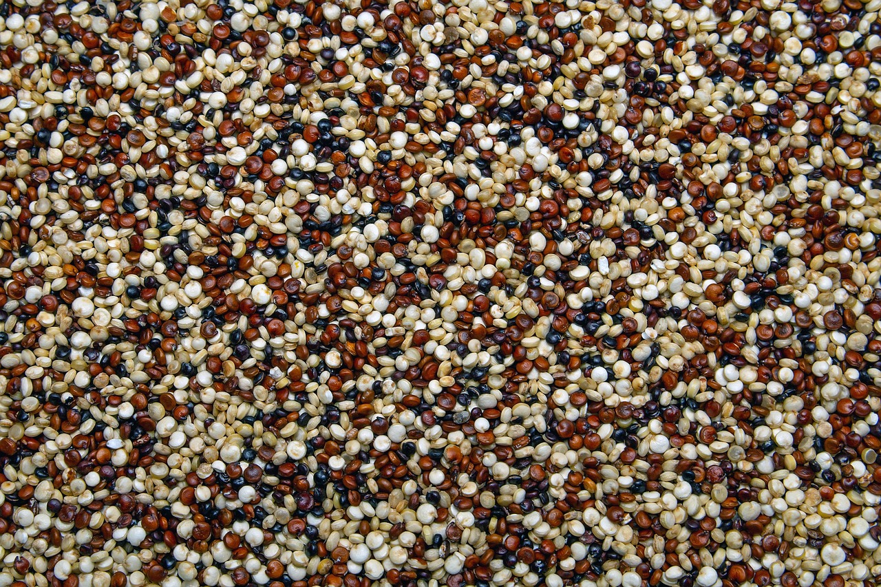 10,000+ Free Quinoa Seeds & Quinoa Images - Pixabay
