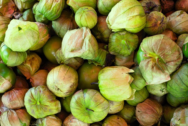 Tomatillo Mexican Husk Tomatoes - Free photo on Pixabay