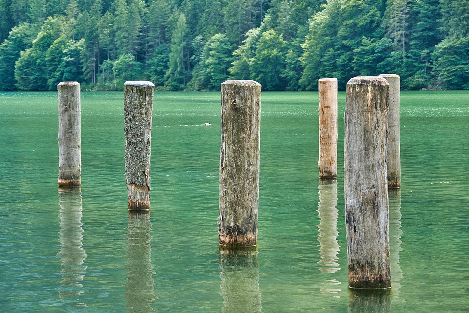 Wooden Poles Posts Lake - Free photo on Pixabay