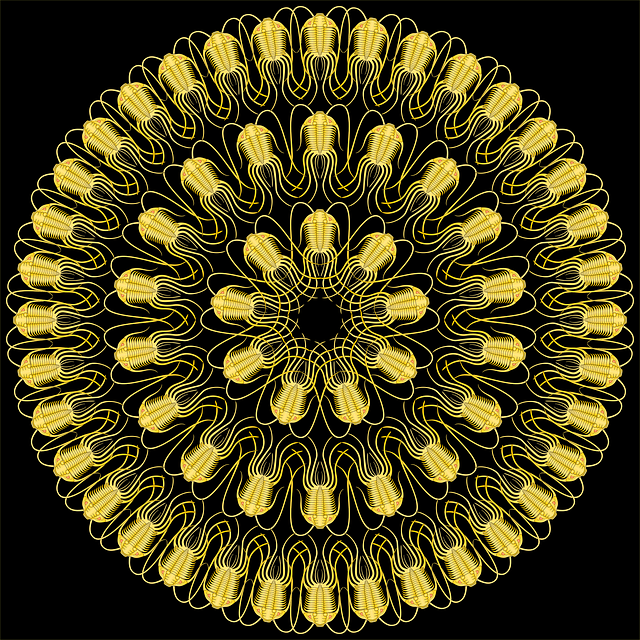 10+ Free Trilobite & Fossil Images - Pixabay
