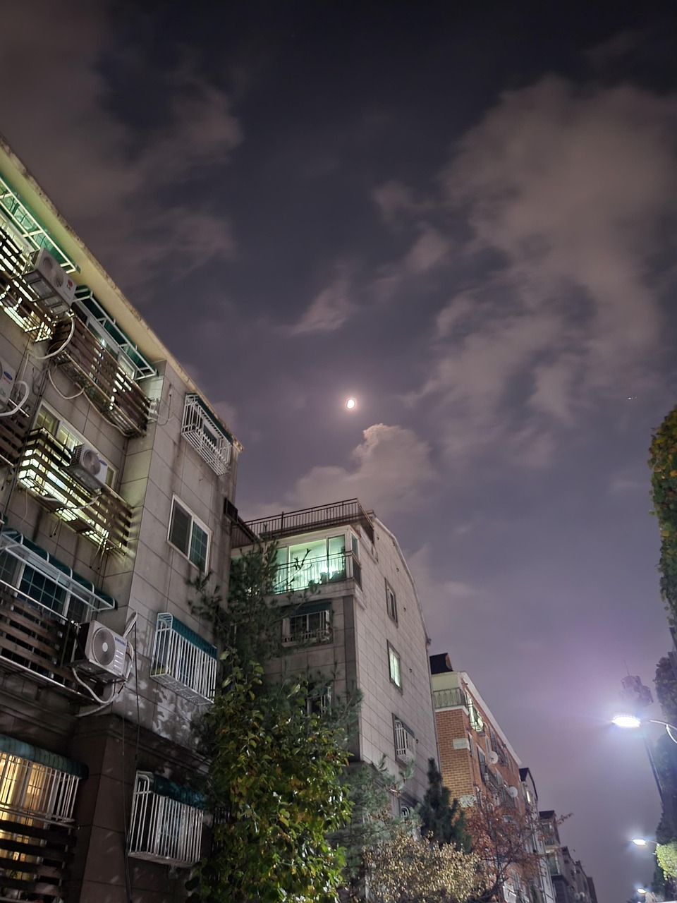 Moon Night View Sky - Free photo on Pixabay - Pixabay