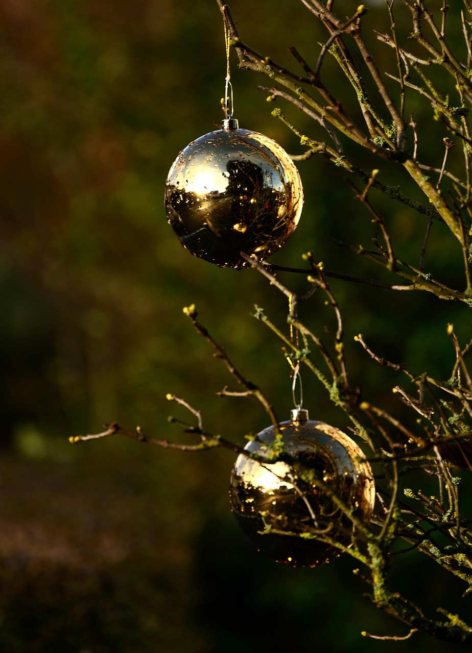 20,000+ Free Christmas Time & Christmas Images - Pixabay