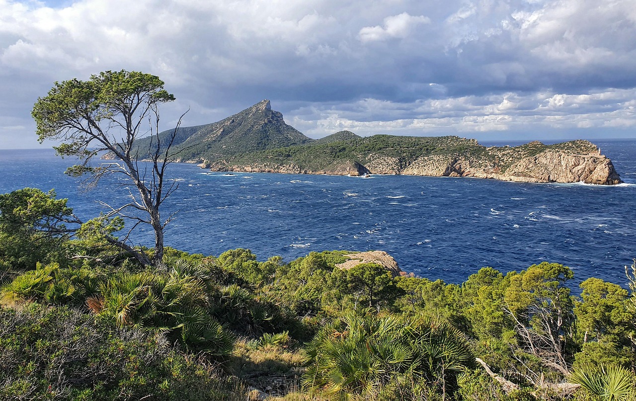 Nature Trip Exploration - Free photo on Pixabay - Pixabay