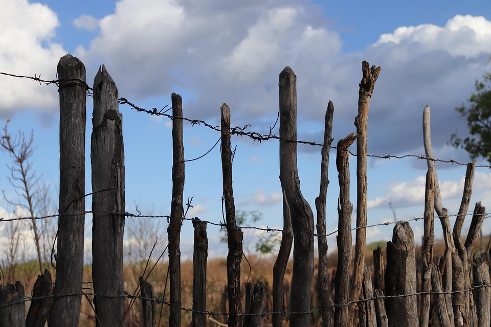 Wood Barbed Wires Fence - Free photo on Pixabay