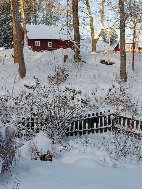 Vinterlandskap December Staket - Gratis foto på Pixabay - Pixabay